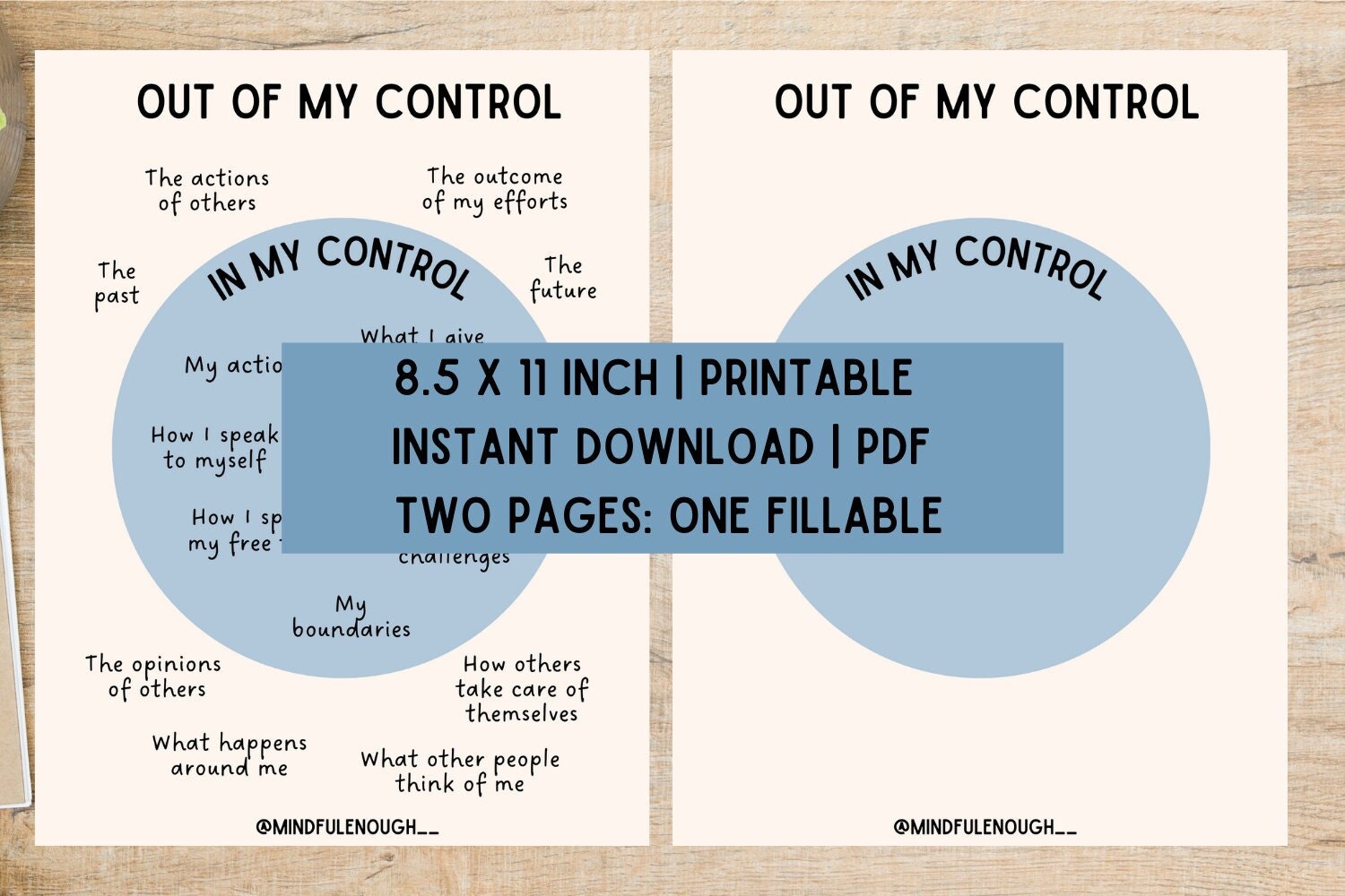 Printable | 8.5 X 11 Inch PDF | What I Can Control | Mindfulness ...