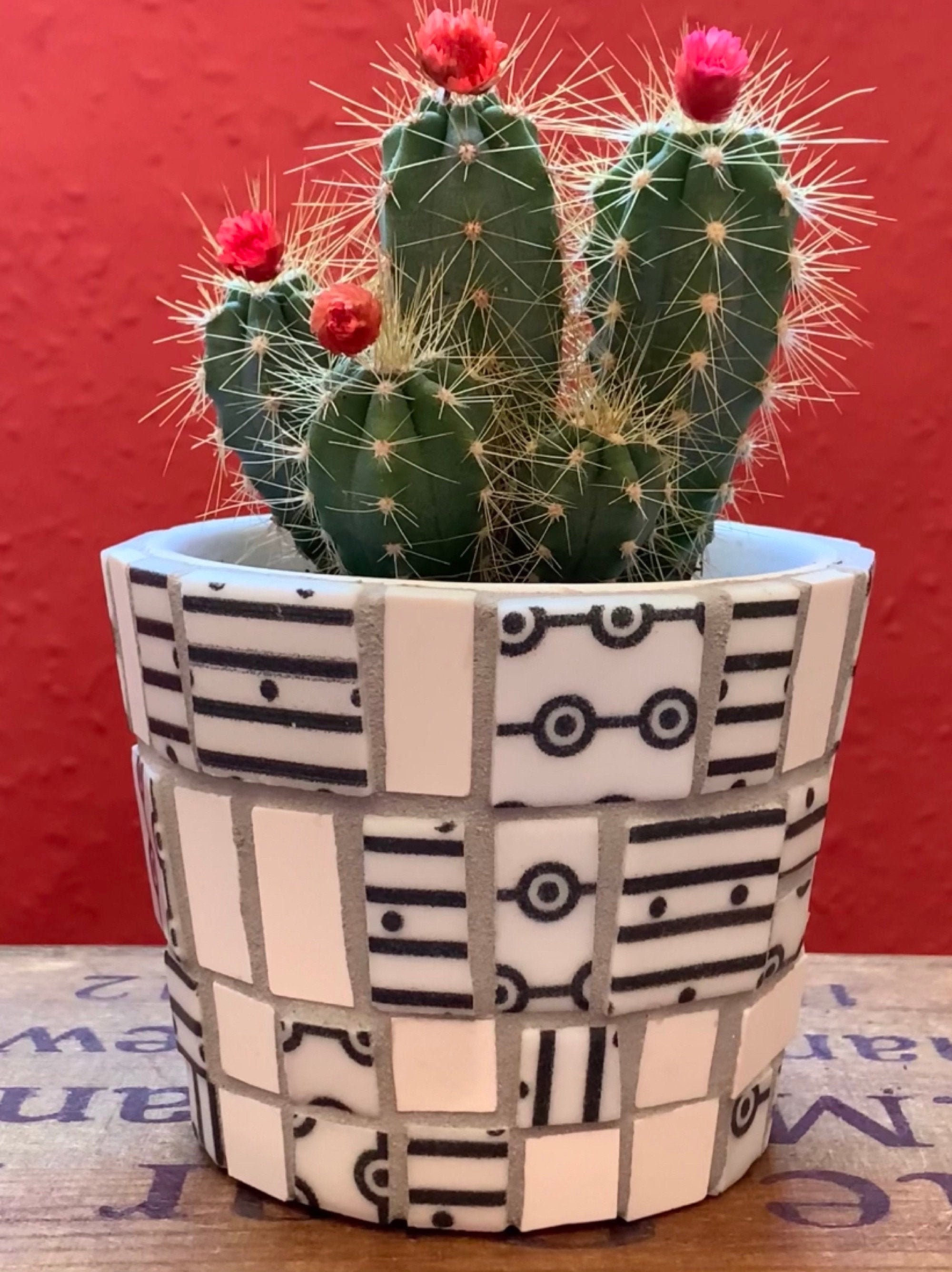 Maceta moderna Maceta suculenta de cerámica maceta blanca y | Etsy