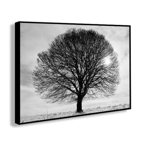 Black and White Tree Canvas Poster Inspirational Picture Art Painting ...