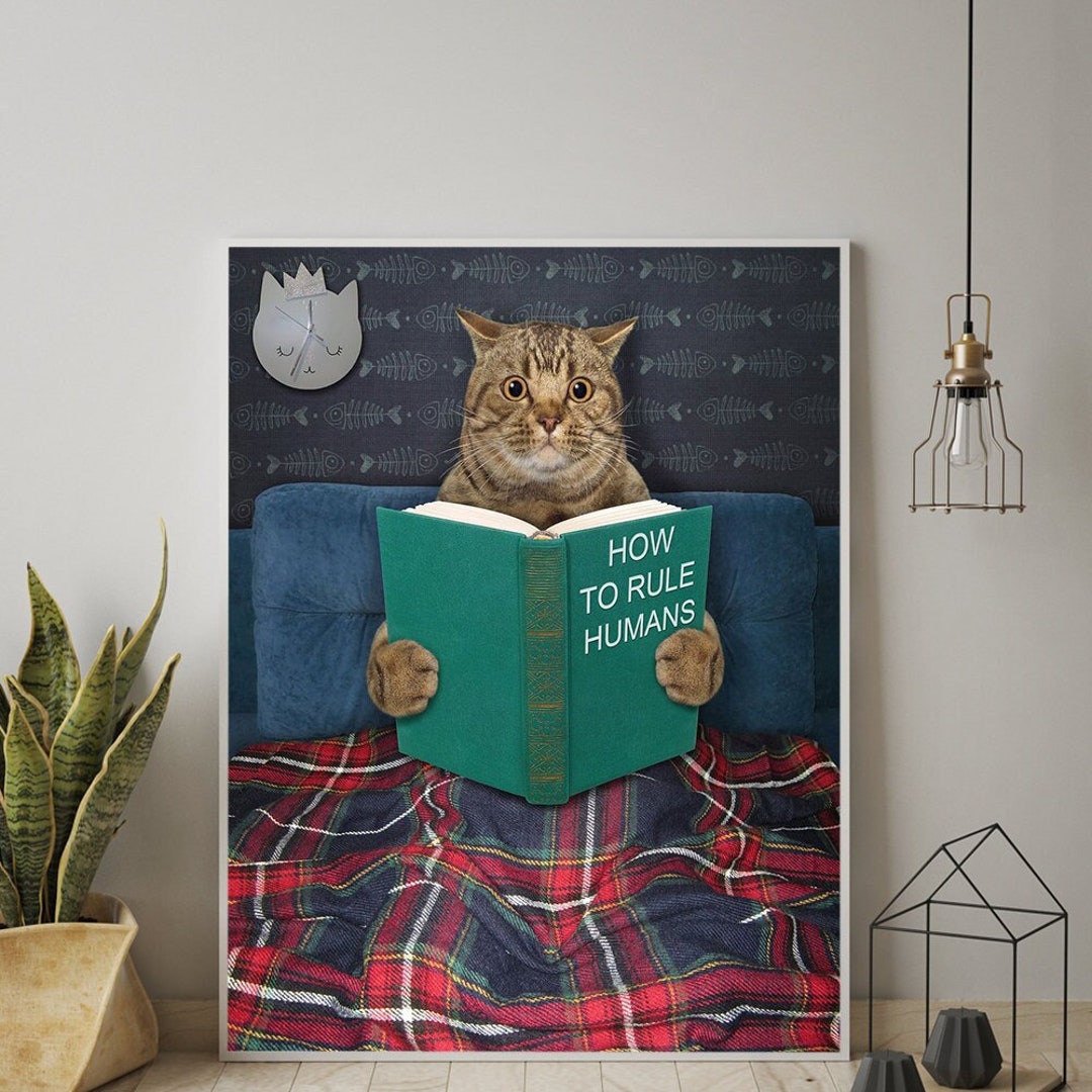 How to Rule Humans Posters Home Decoration Funny Cat Reading Book ...