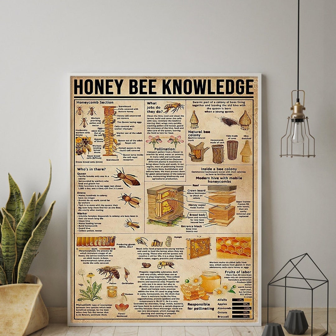Honey Bee Knowledge Vertical Poster Bee Lover Gift Bee Collection ...