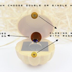 Pumpkin Ring Bearer | Hinged Pumpkin Ring Box | Squash Ring Box | Gold ...