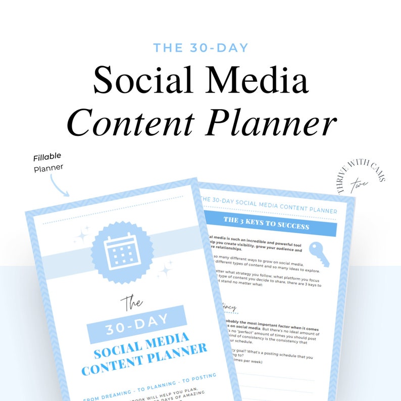 The 30-day Social Media Content Planner Fillable and - Etsy
