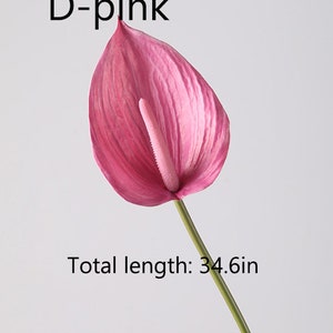 Anthurium Andraeanum Stem, Tropical Flower Crafts, Artificial Flowers ...