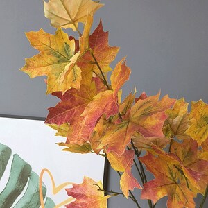 Maple Foliage Long Branch, Fall Sycamore Leaf Twig, Rustic Plant ...