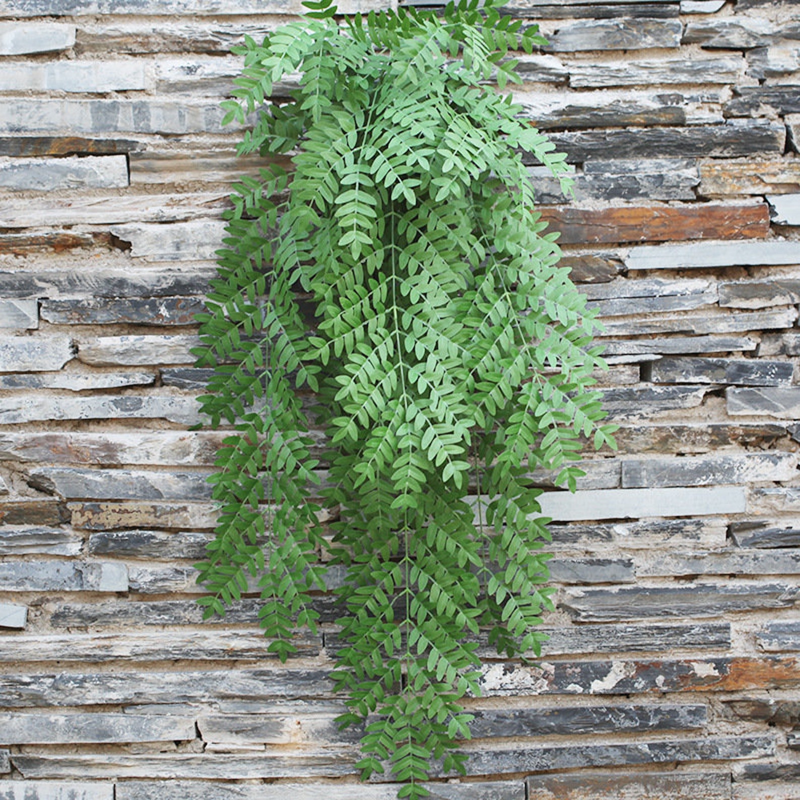 Long Olive Leaf Wall Hanging Large Branch With Rich Foliage Artificial ...
