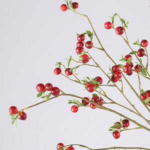 Small Apple Branch With Tender Leaves, Autumn Berry Stem, Rustic Wild ...
