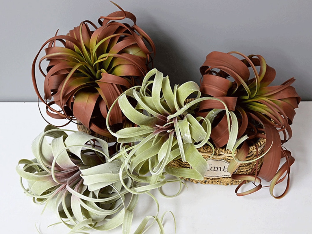 Artificial Air Grass Plant, Tillandsia Brachycaulos, Fake Greenery ...