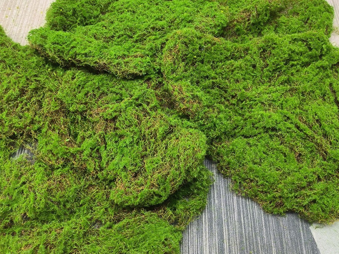 Artificial Moss, Fake Turf Craft, Green Lawn, Window Faux Grass Decor ...