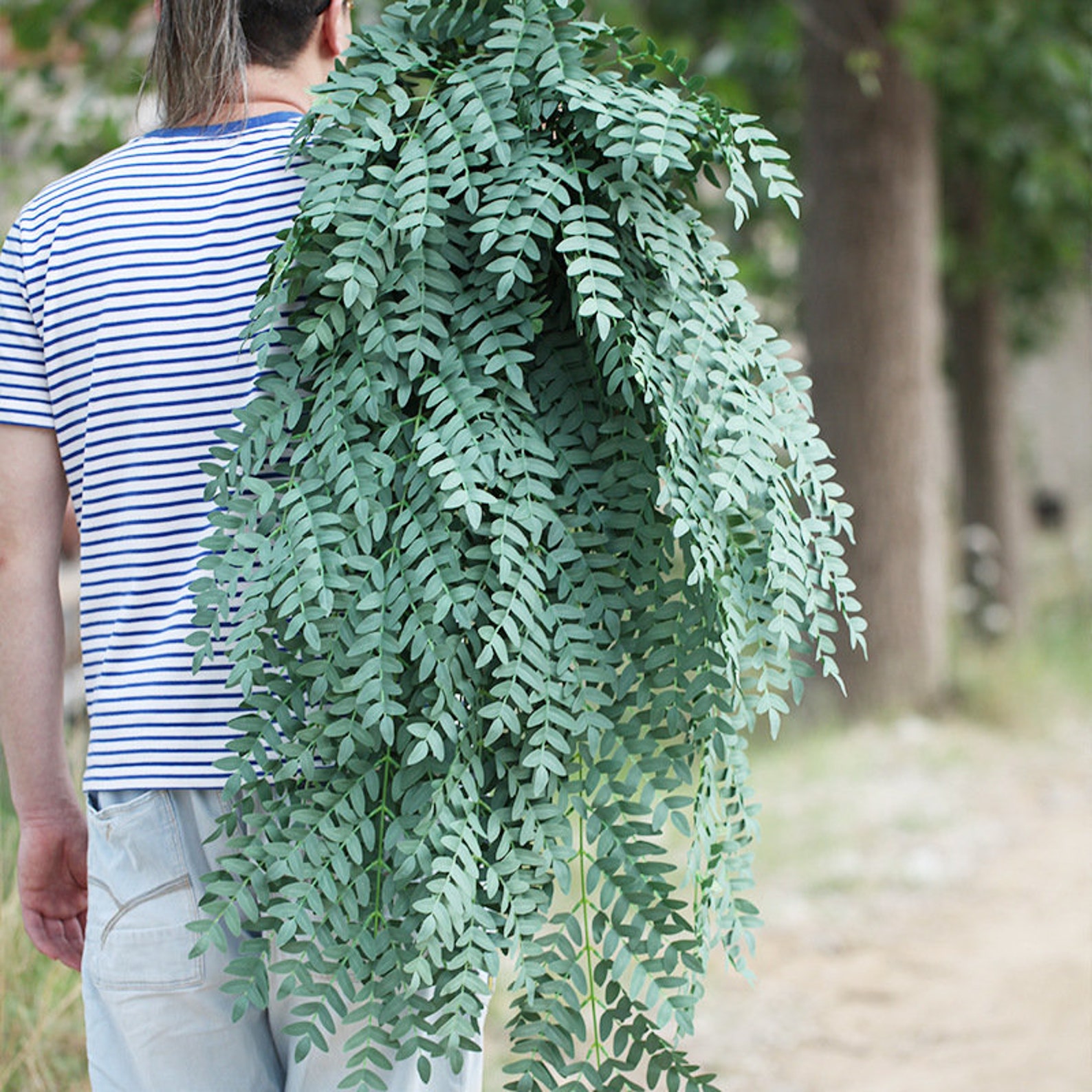 Long Olive Leaf Wall Hanging Large Branch With Rich Foliage Artificial ...