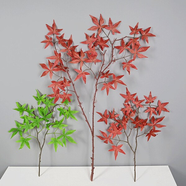 Japanese Maple Art - Etsy