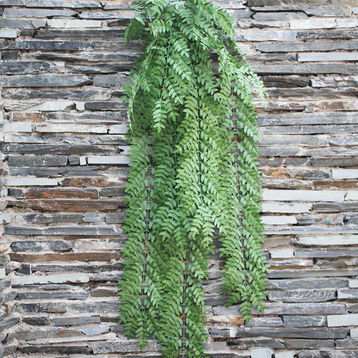 Long Olive Leaf Wall Hanging Large Branch With Rich Foliage Artificial ...