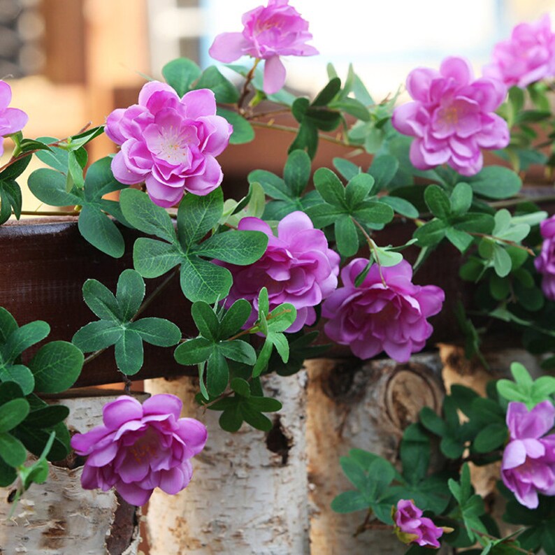 Climbing Azalea Vine With Rich Foliage Artificial Trailing - Etsy