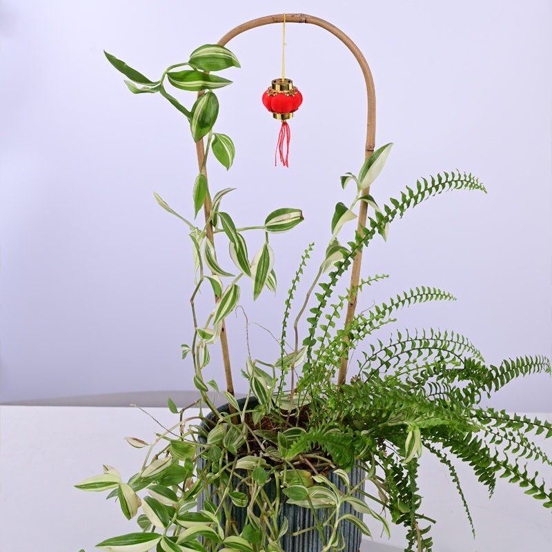 Bamboo Arch - Etsy UK