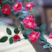Trailing Rose Vine Arrangement, Artificial Climbing Flower, Wall ...