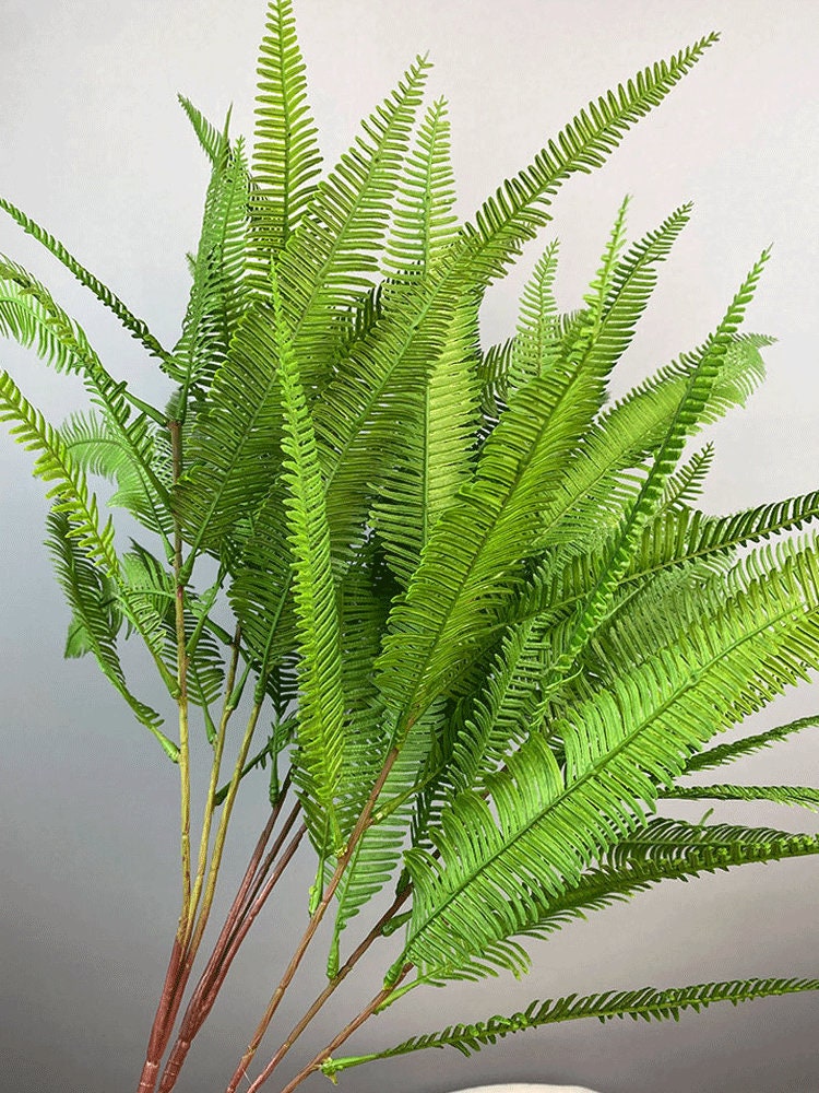 Fern Leaf Long Stem Artificial Fake Gleichenia Foliage - Etsy