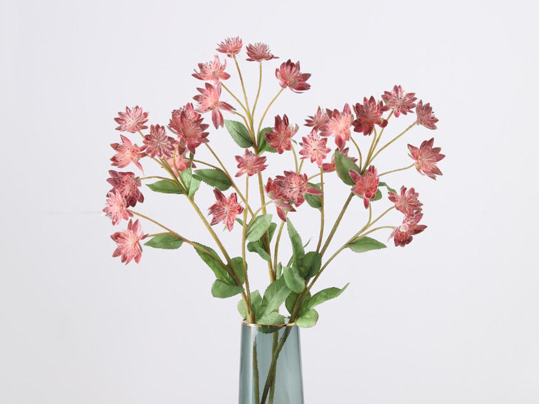 Astrantia Major Spray, Masterwort Flowers, Artificial Flower, Home ...