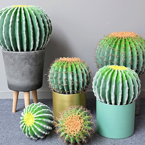 Cactus Centerpiece - Etsy