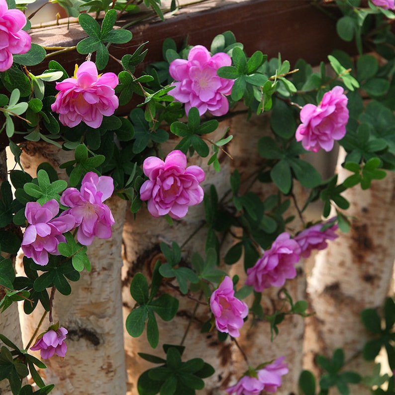 Climbing Azalea Vine With Rich Foliage Artificial Trailing - Etsy