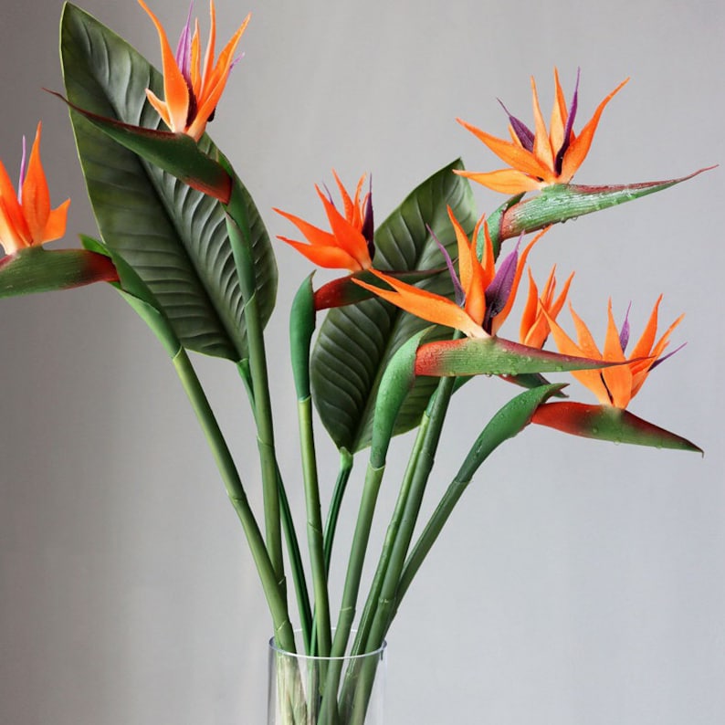 Quality Bird of Paradise Stem Fake Strelitzia Flower Decoration Rustic ...
