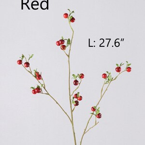 Small Apple Branch With Tender Leaves, Autumn Berry Stem, Rustic Wild ...