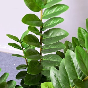 Artificial ZZ Plant Foliage Stem, Fake Zamioculcas Zamiifolia Potted ...