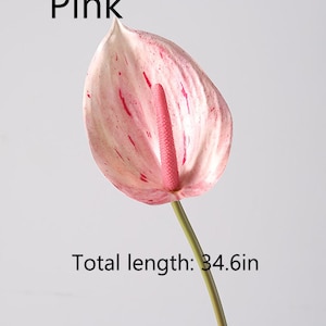 Anthurium Andraeanum Stem, Tropical Flower Crafts, Artificial Flowers ...