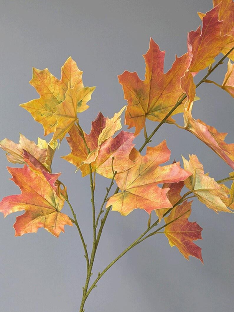 Maple Foliage Long Branch, Fall Sycamore Leaf Twig, Rustic Plant ...