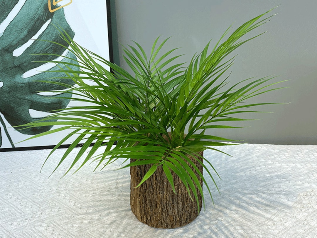 Small Palm Tree Artificial, Fake Dypsis Lutescens, Realistic Tropical ...
