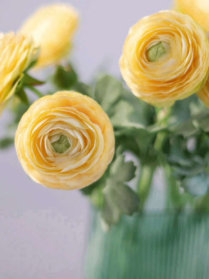 Artificial Ranunculus Stem With Foliage Quality Peony and - Etsy