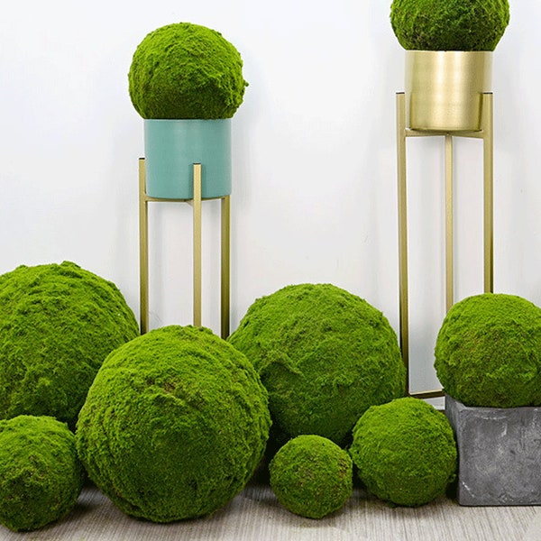 Moss Ball - Etsy