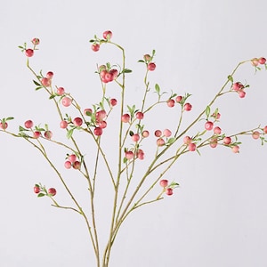 Small Apple Branch With Tender Leaves, Autumn Berry Stem, Rustic Wild ...