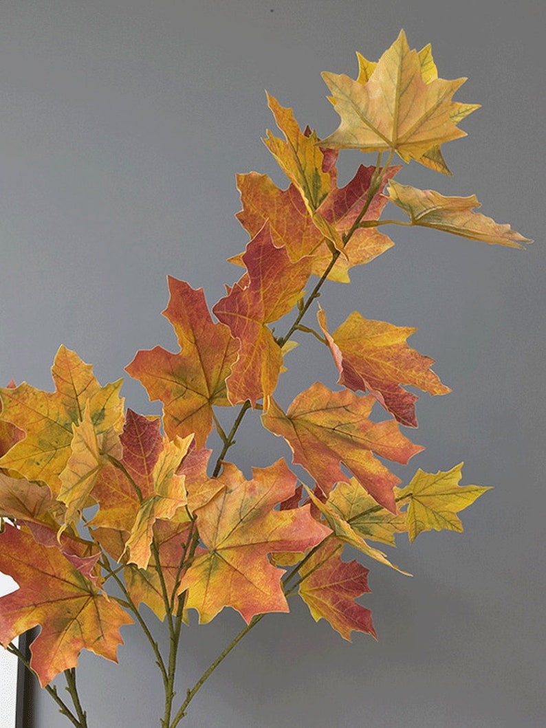 Maple Foliage Long Branch, Fall Sycamore Leaf Twig, Rustic Plant ...