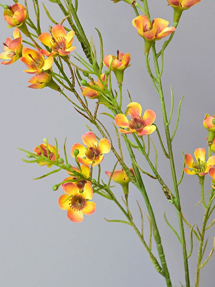 Artificial Winter Sweet Branch With Foliage, Fake Wax Flower Stems ...