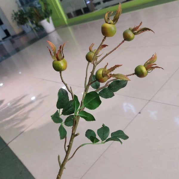 Artificial Rose Hips - Etsy