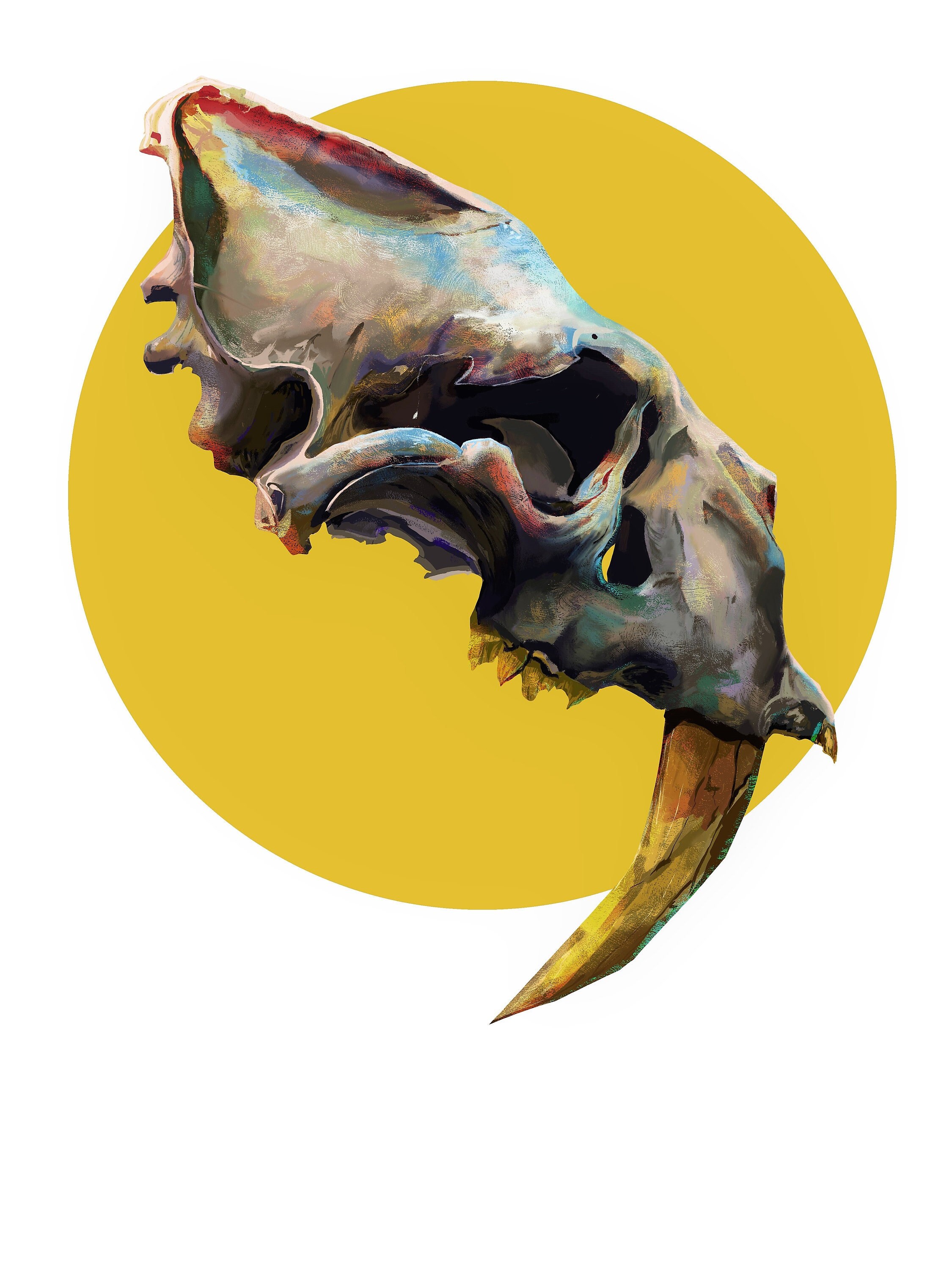 Sabertooth Skull - Etsy