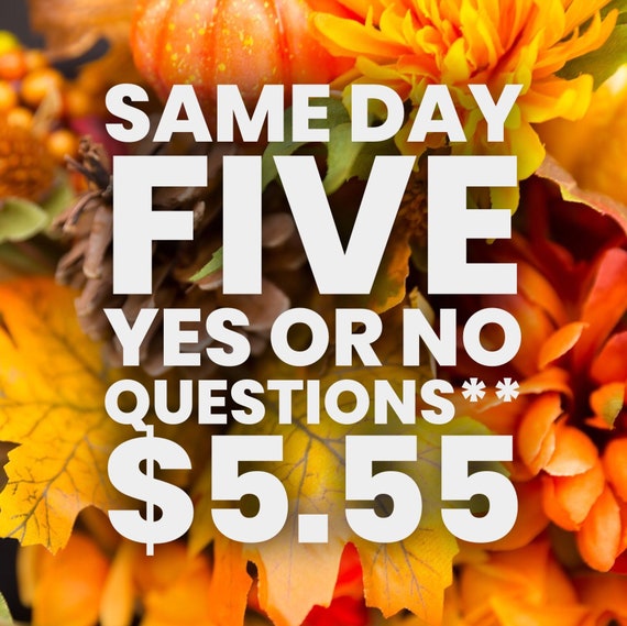 FIVE Yes or No Questions - Etsy