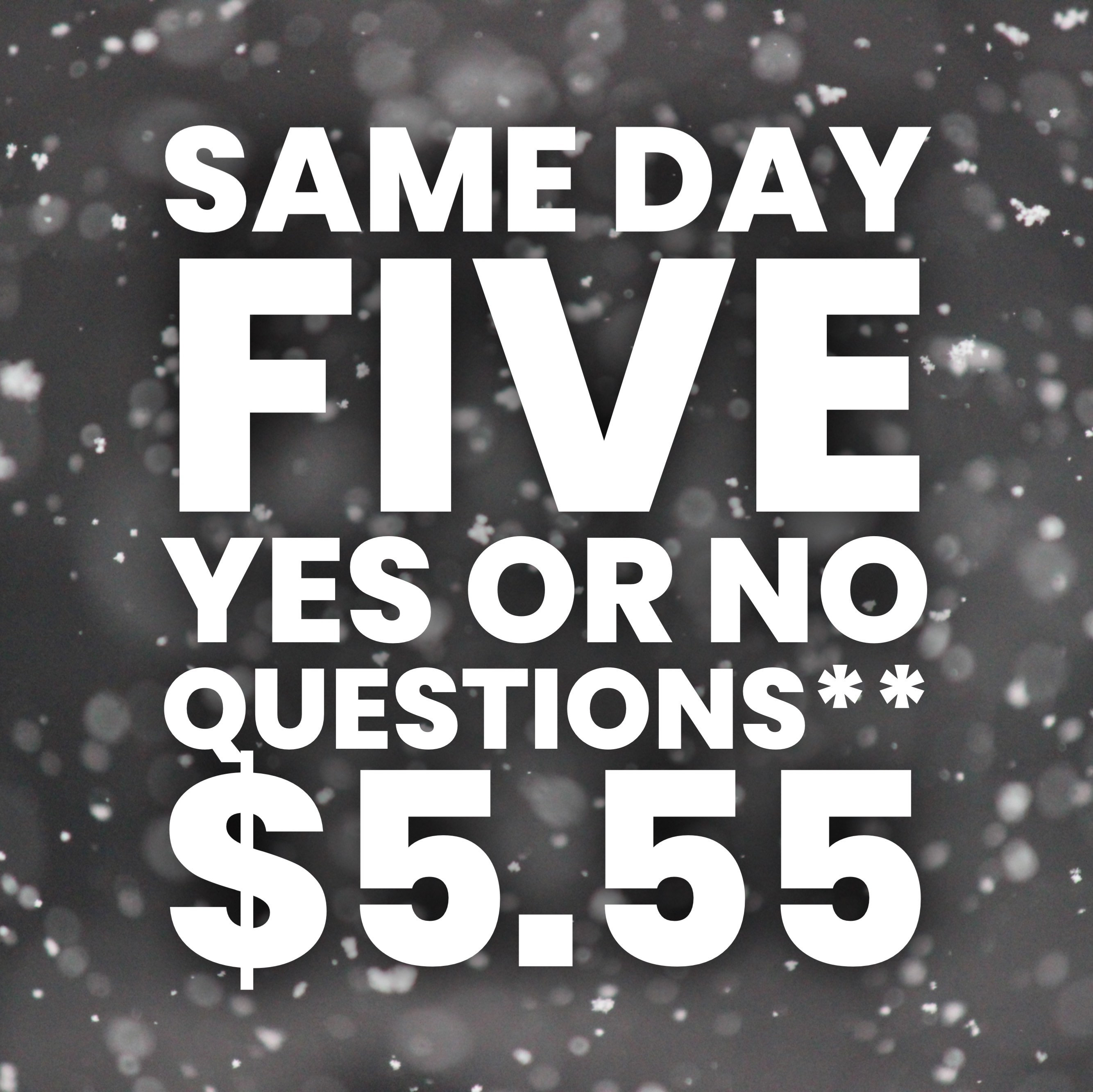 FIVE Yes or No Questions! - Etsy