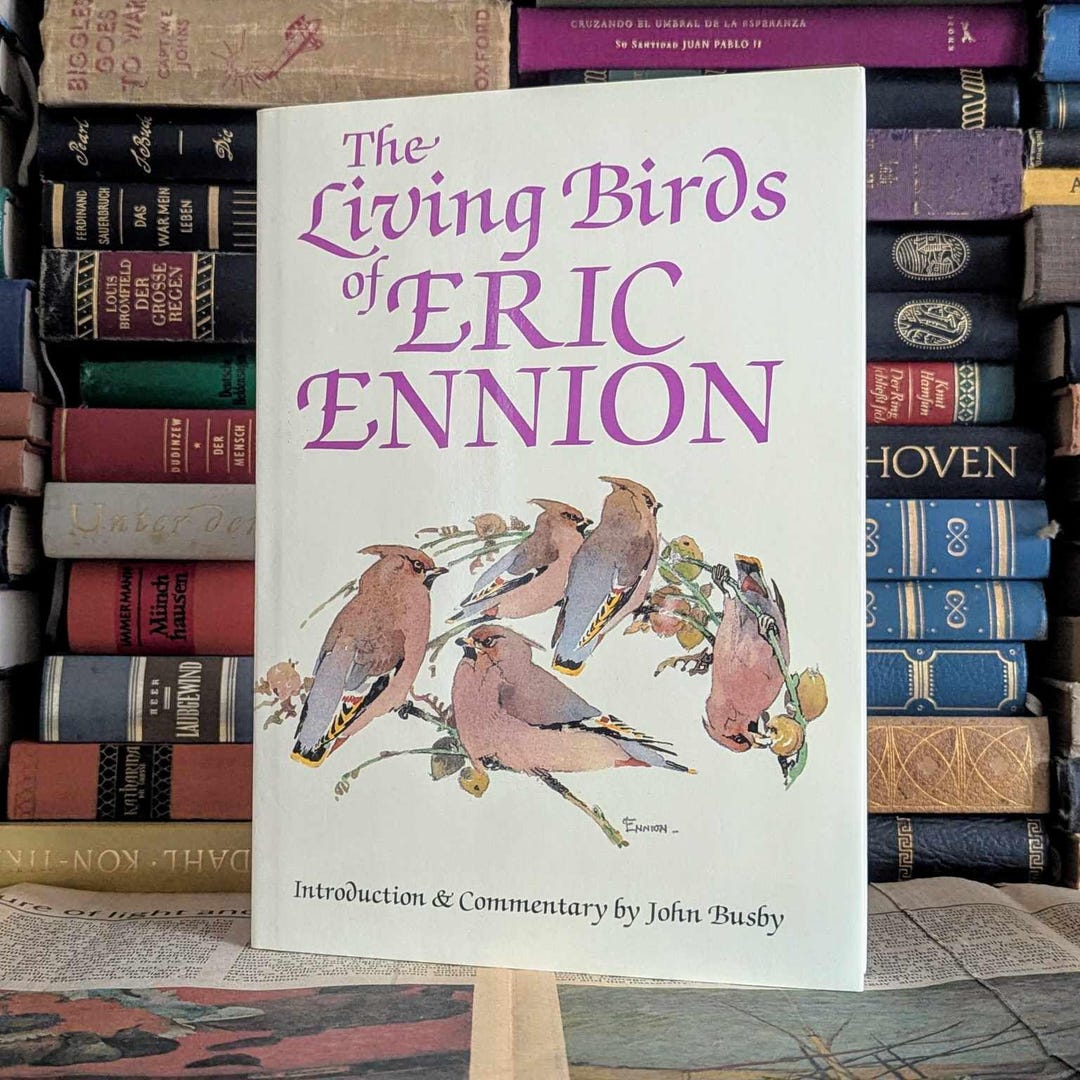 Vintage Eric Ennion Bird Art Book: Wildlife Paintings, Field Sketches ...