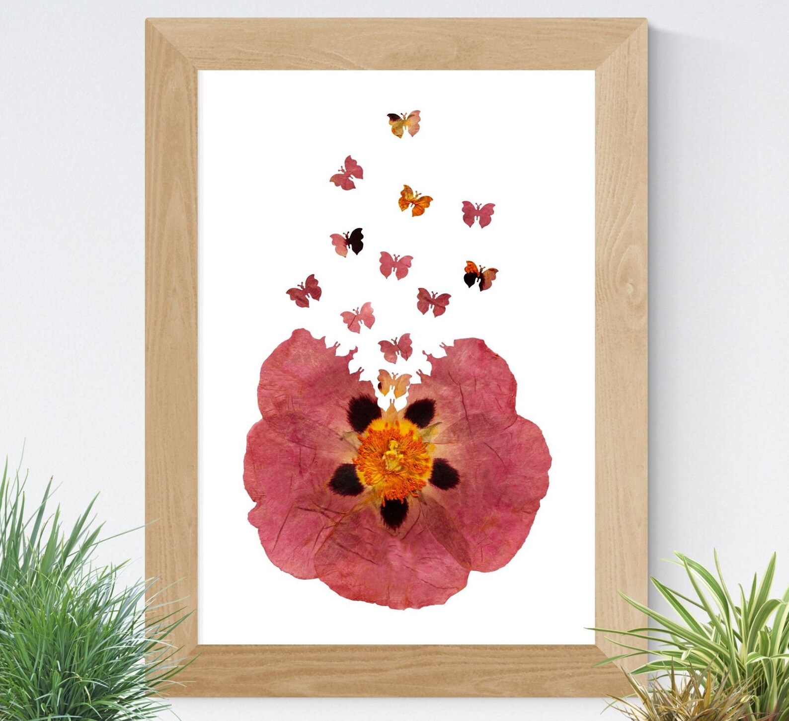 Pressed Flower Rock Rose Pink Digital Download Wall Art/ Home Decor - Etsy