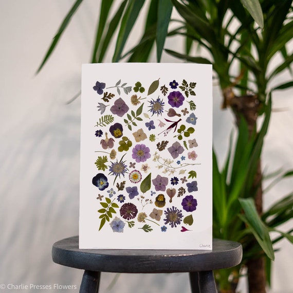 Pressed Flower and Leaves Botanical Collage A4 Giclee Print - Etsy