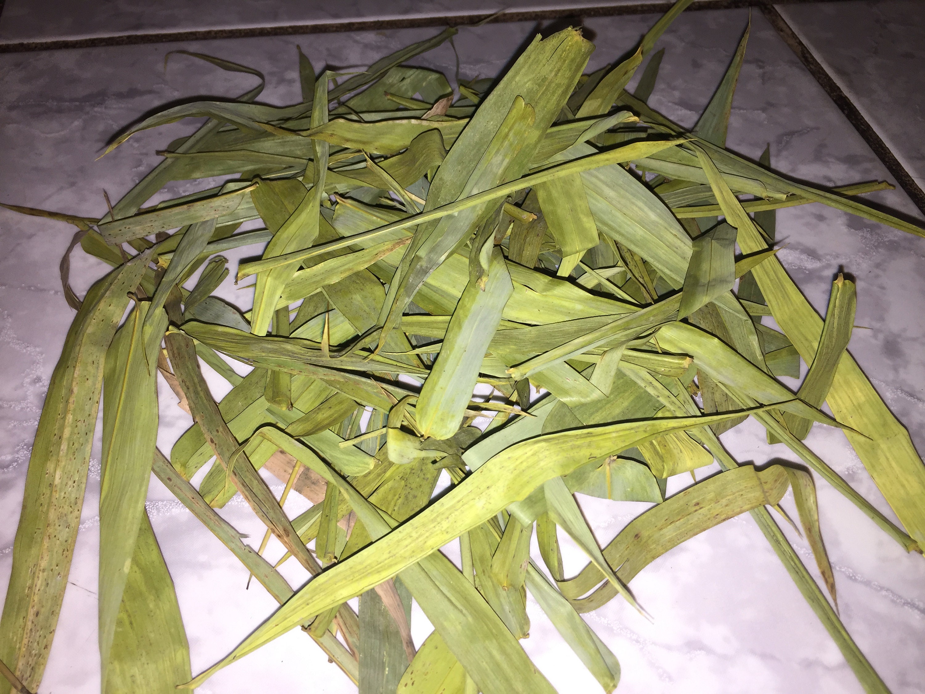 Dried Bamboo Leaves - Etsy