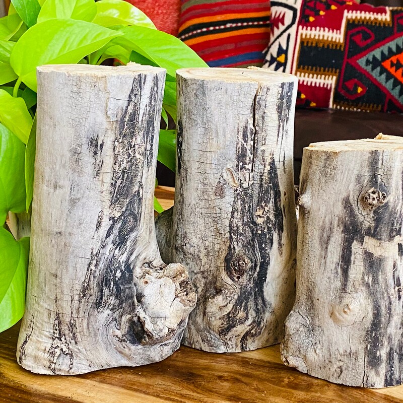 Electrocuted Wood - Etsy