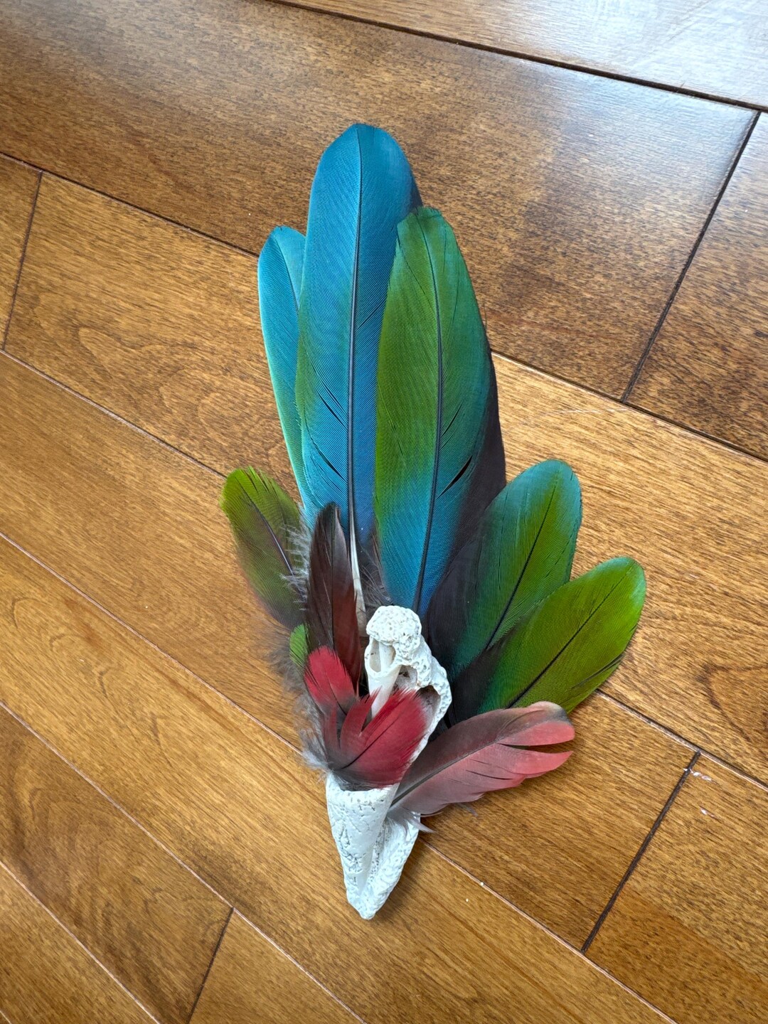 Bunches of Cruelty-free Green-wing Macaw Feathers, Happy Birds Feathers ...
