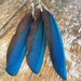Set of 3, 810 Cruelty Free Green-wing Macaw Feathers, Happy Birds ...
