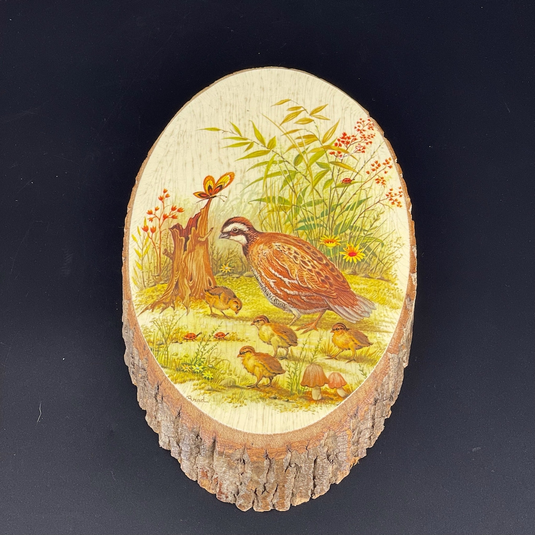 Vintage RARE Cherokees Qualla Reservation N.C. Wooden Plaque Art Print ...