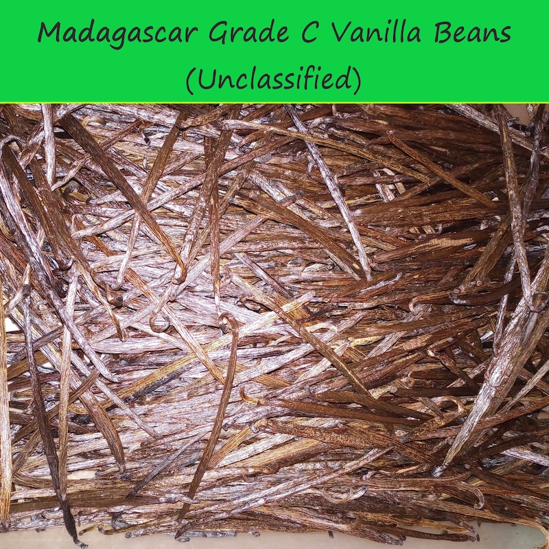 Fake Vanilla - Etsy