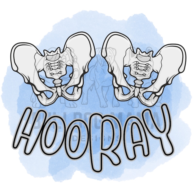 Hip Hip Hooray/orthopedic Surgeon Humor/bone Doctor/hip Replacement/md ...