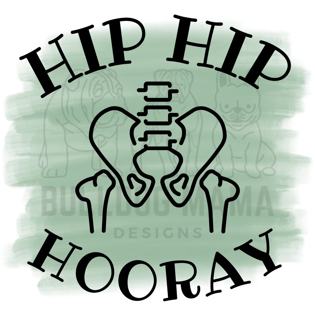 Hip Hip Hooray/orthopedic Surgeon Humor/bone Doctor/hip Replacement/md/medical Office ...