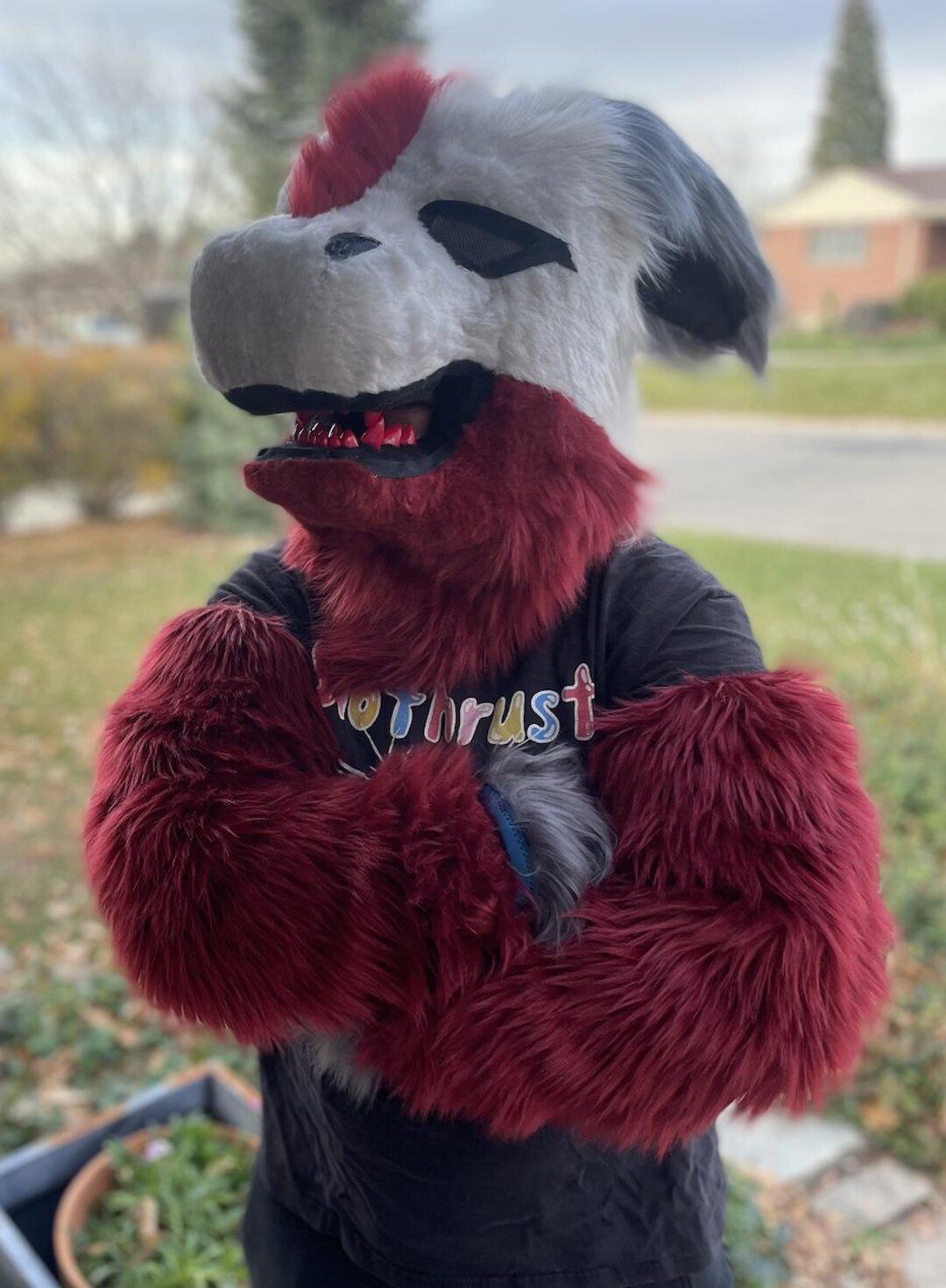 Pre-made Manokit Fursuit Partial - Etsy